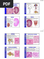 GUÍA de PROCEDIMIENTOS Control de La Diuresis | PDF | Vejiga urinaria ...