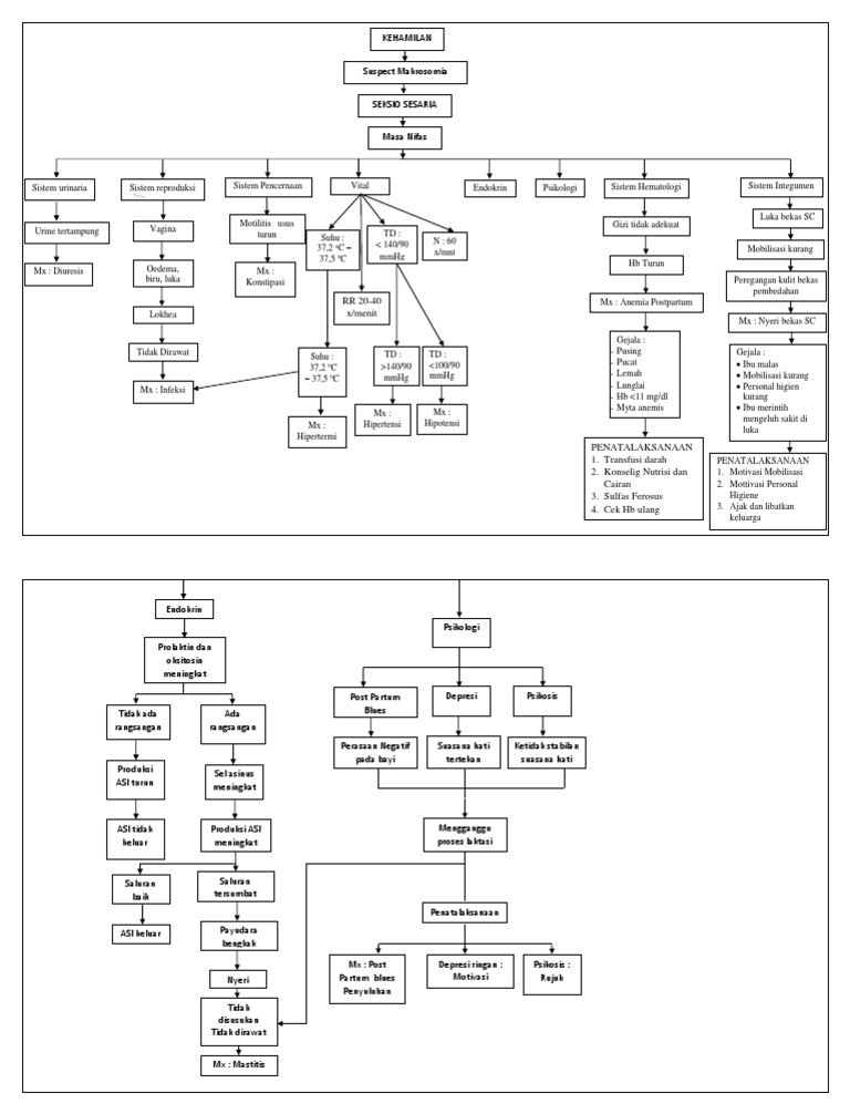 Pohon Masalah Anemia Fix | PDF