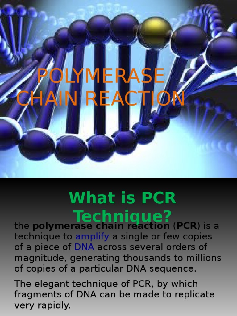 Polymerase Chain Reaction | PDF | Polymerase Chain Reaction | Taq ...
