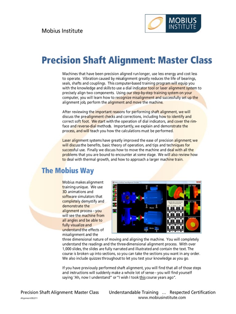 Alignment Master Class 2 Day PDF | PDF