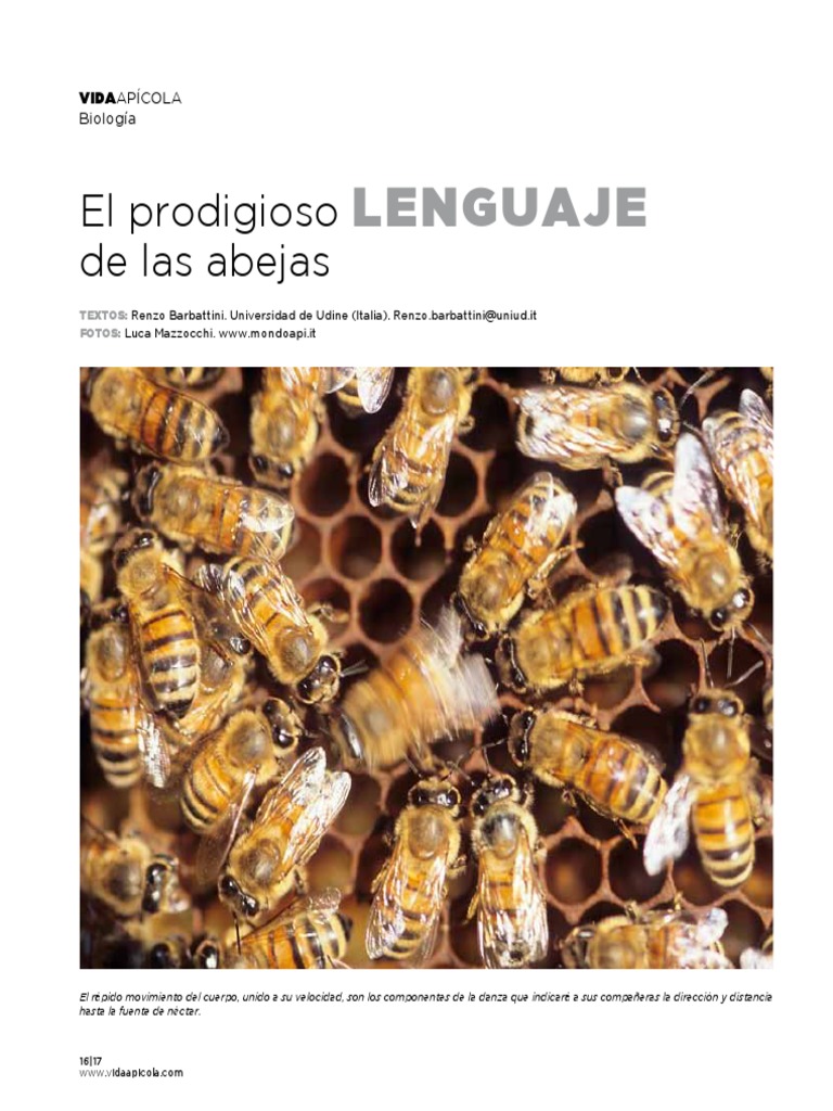 [2015, Vida Apicola] El prodigioso lenguaje de las abejas.pdf | Abejas | Colmena