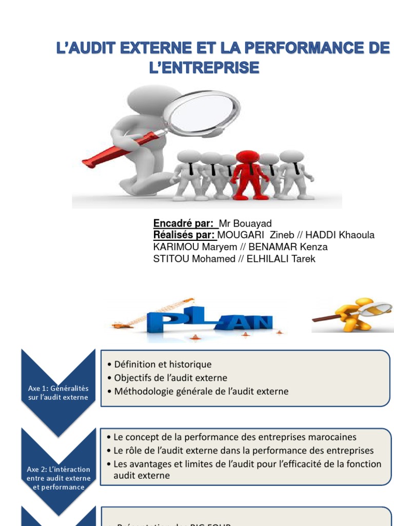 Audit Externe Et Performance de L'ese | PDF | PricewaterhouseCoopers ...