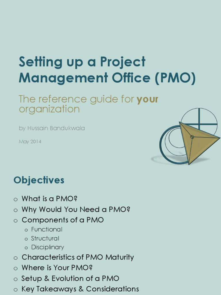 Pmo Setup Strategy | Project Management | Strategic Management