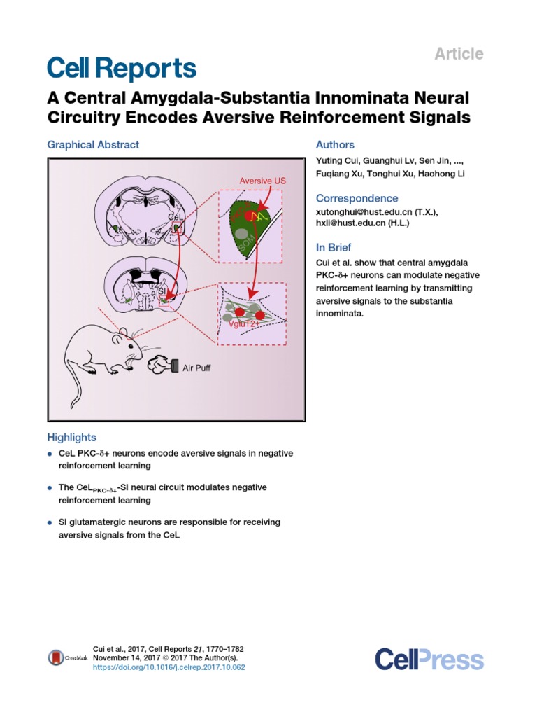 A Central Amygdala-Substantia Innominata Neural Circuitry Encodes ...