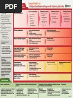 4.bimanual Compression of Uterus | PDF | Bleeding | Uterus