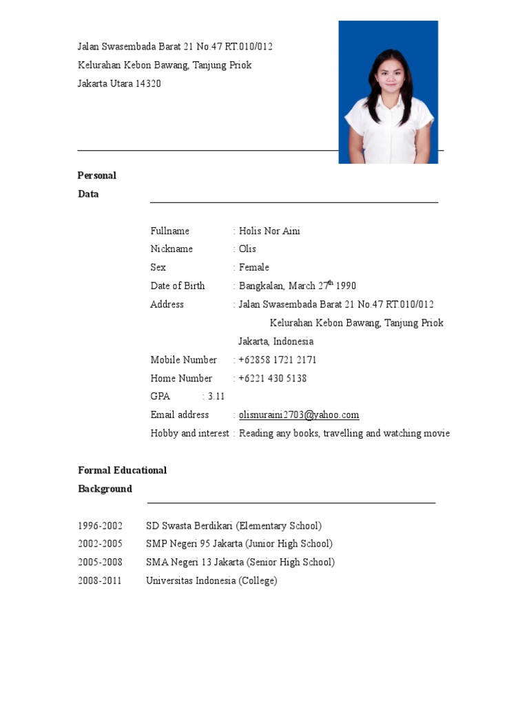 CV Holis Nor Aini | PDF