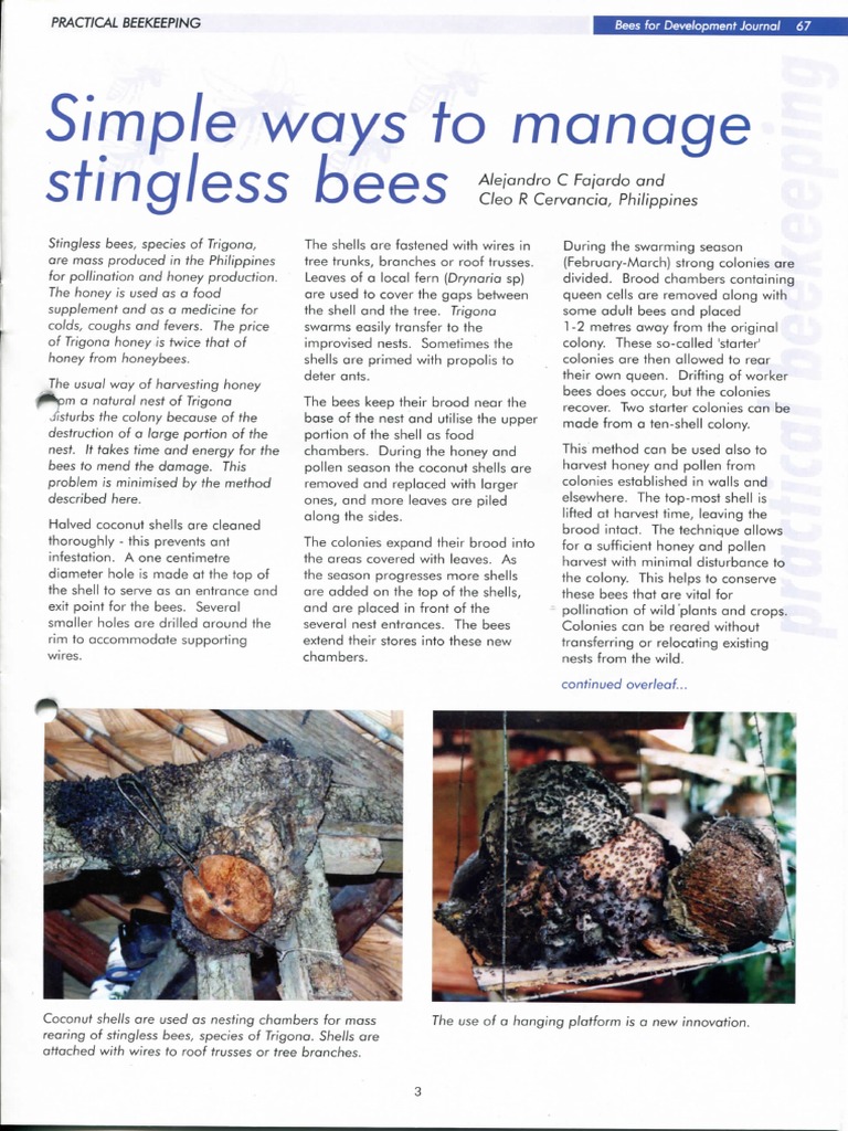 Stingless Bees PDF | PDF | Honey Bee | Bees