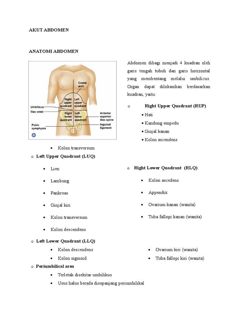 Akut Abdomen | PDF