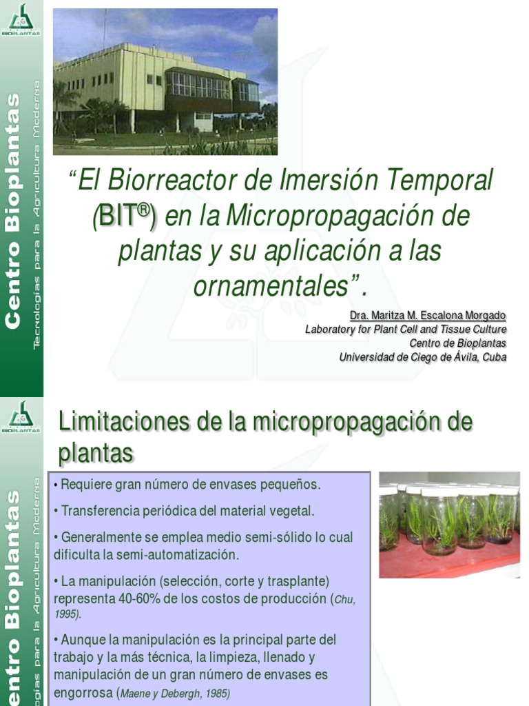 12 El Biorreactor de Inmersion Temporal en La Micropropagacion ...
