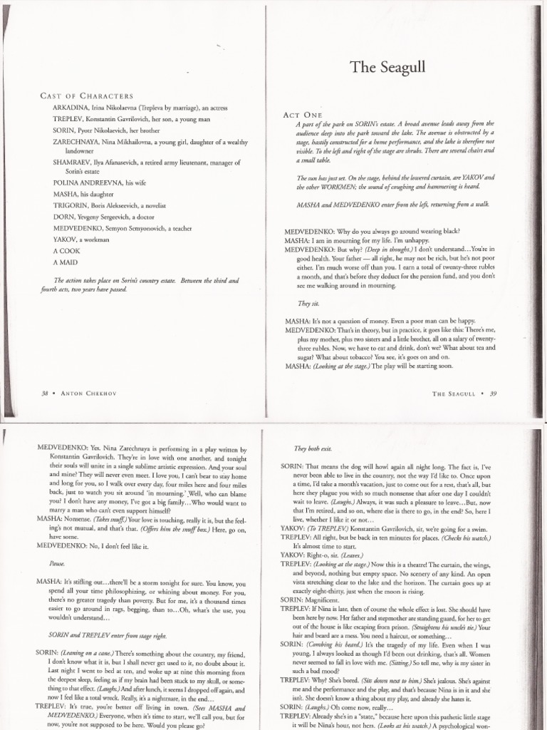 The Seagull | PDF | Plays