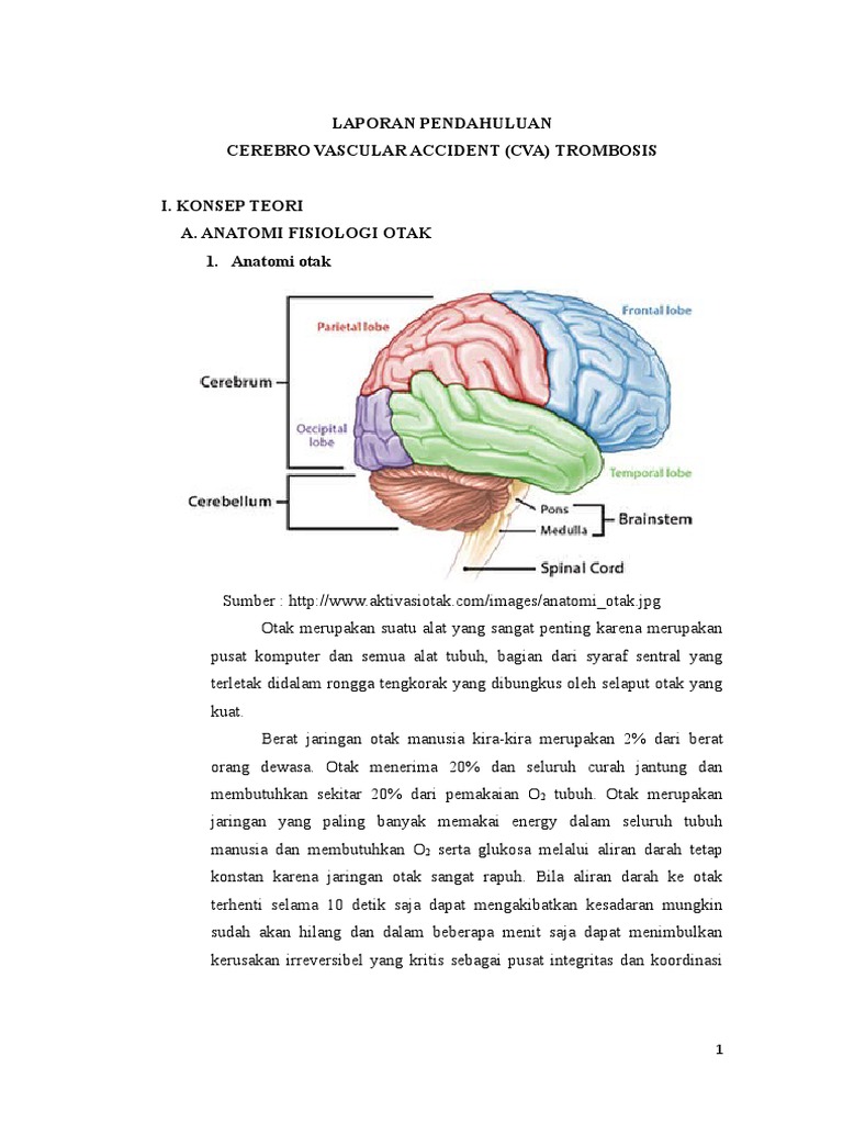 1.Lp Stroke Trombotik | PDF