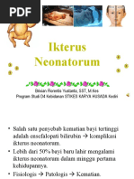 NGT (Naso Gastric Tube) DEWASA DAN ANAK | PDF