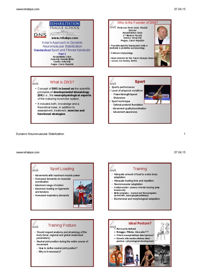 Dynamic Neuromuscular Stabilization Overview | PDF | Abdomen | Pelvis