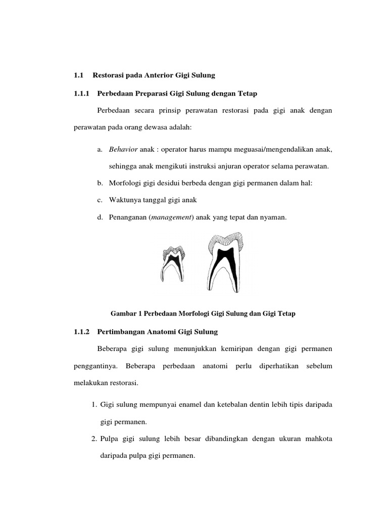 Restorasi Ant Gigi Sulung | PDF | Griya & Taman | Sains & Matematika