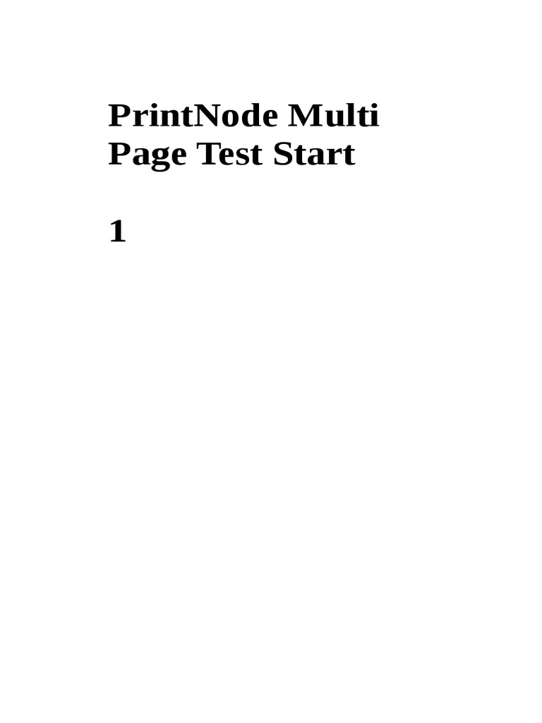 Printnode Multi Page Test Start 1 | PDF