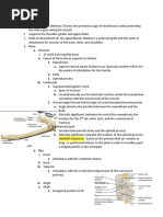 Anatomi Regio Colli | PDF | Vertebra | Neck