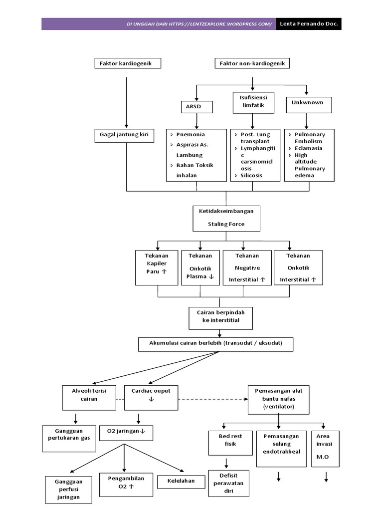 Askep Edema Paru Akut | PDF