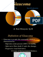 Glaucoma ICD-10 Quick Reference 100120 Final | PDF | Glaucoma | Vision