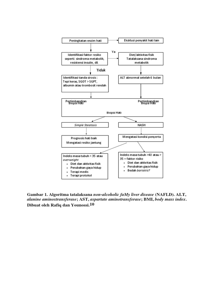 Gambar 1 NAFLD | PDF
