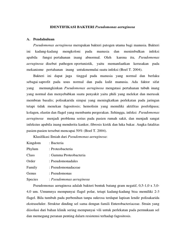 IDENTIFIKASI BAKTERI Pseudomonas Aeruginosa | PDF
