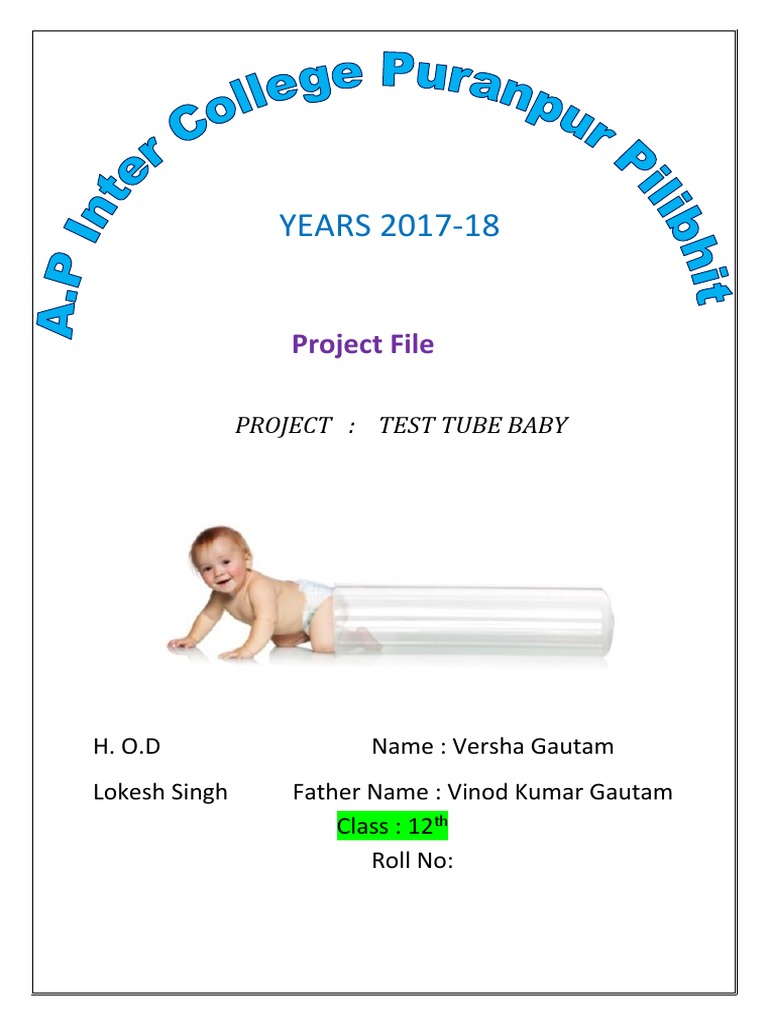 Test Tube Baby Project Overview | PDF | Wellness