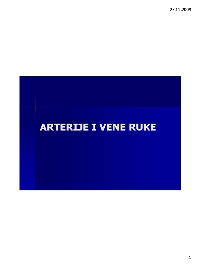 Arterije I Vene Ruke | PDF