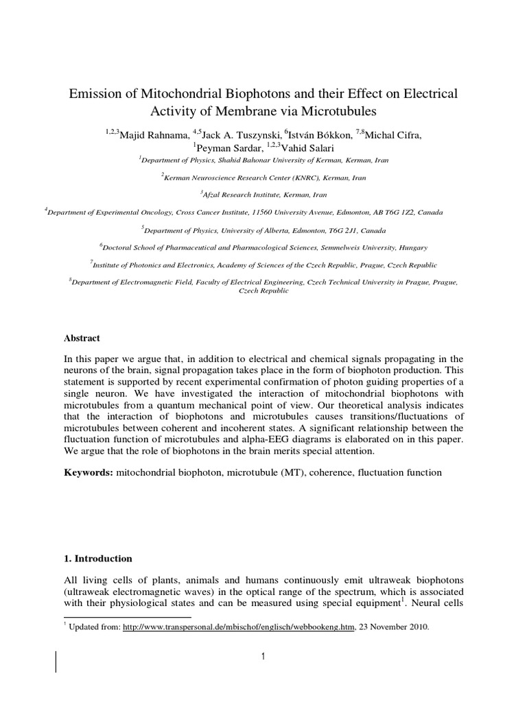 Biophotons PDF | PDF | Cell Signaling | Neuron