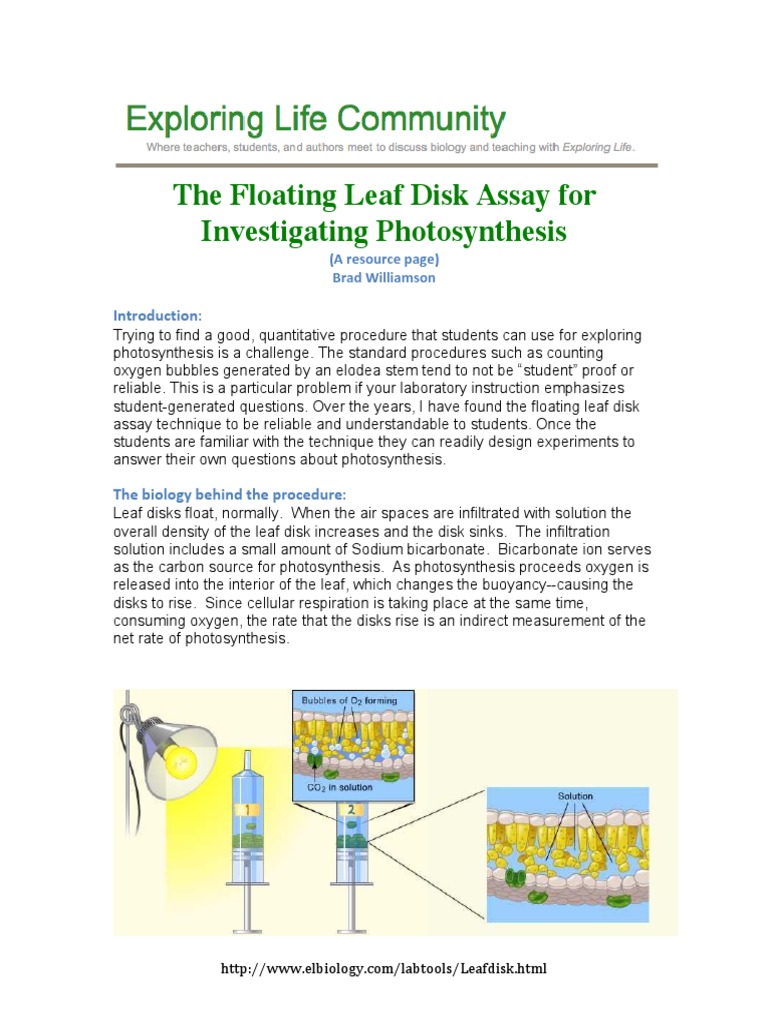 Floating Leaf Disk Brad Williamson | PDF | Photosynthesis | Sodium ...