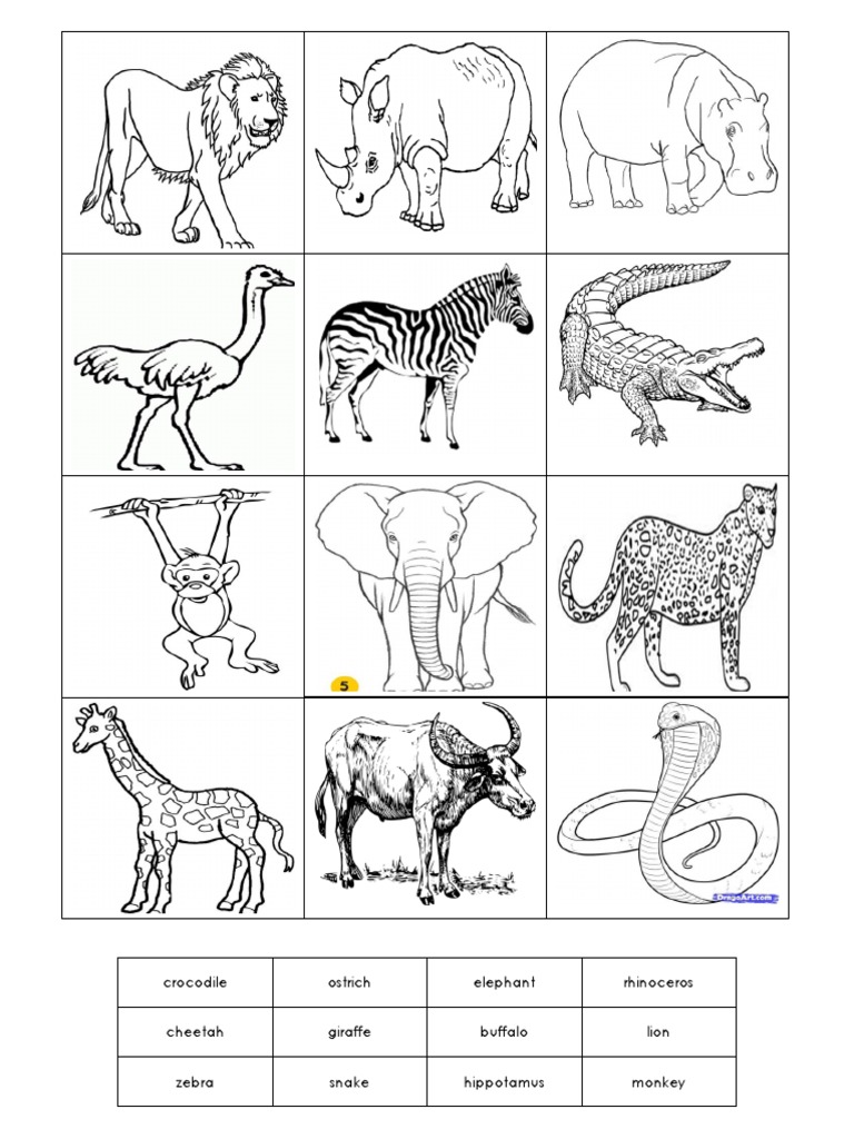 African Wildlife Animal List | PDF