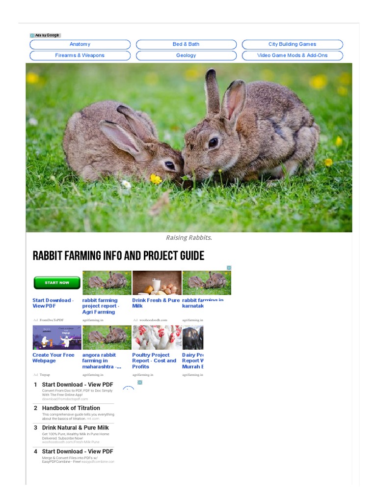Rabbit Farming Info and Project Guide _ Agri Farming | Wool | Rabbit
