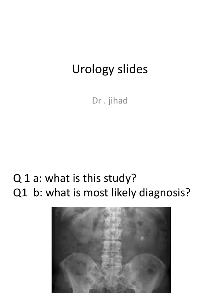 Urology Slides: DR - Jihad | PDF | Science & Mathematics