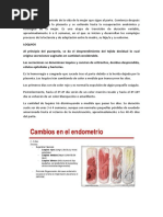 Maniobra de Ritgen | PDF | Parto | Reproducción