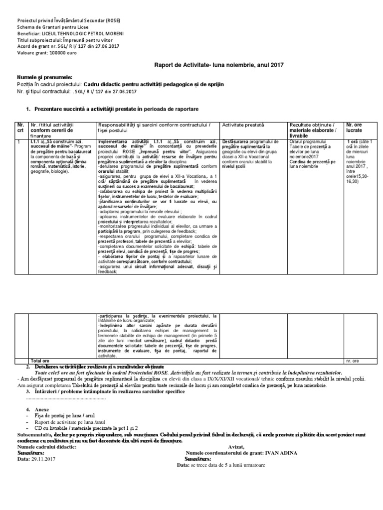 Raport de Activitate Rose | PDF