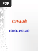 Coprologico, Coproscopico y Coprocultivo | PDF