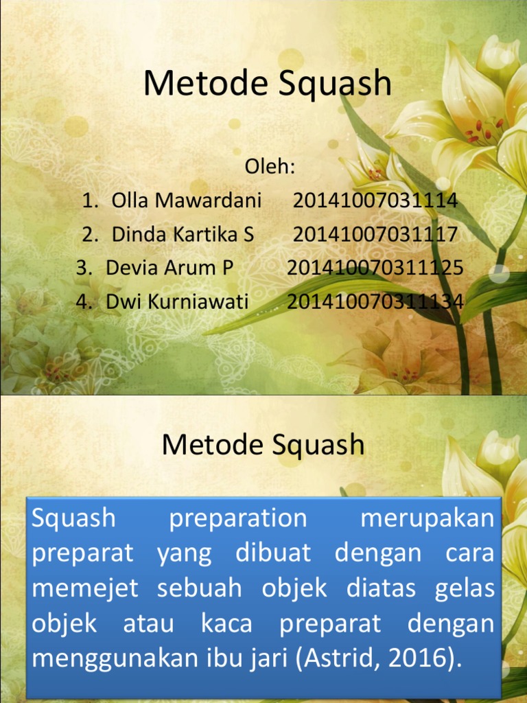 Metode Squash | PDF