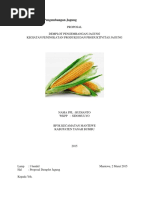 RAB Cetak Sawah 2025 | PDF