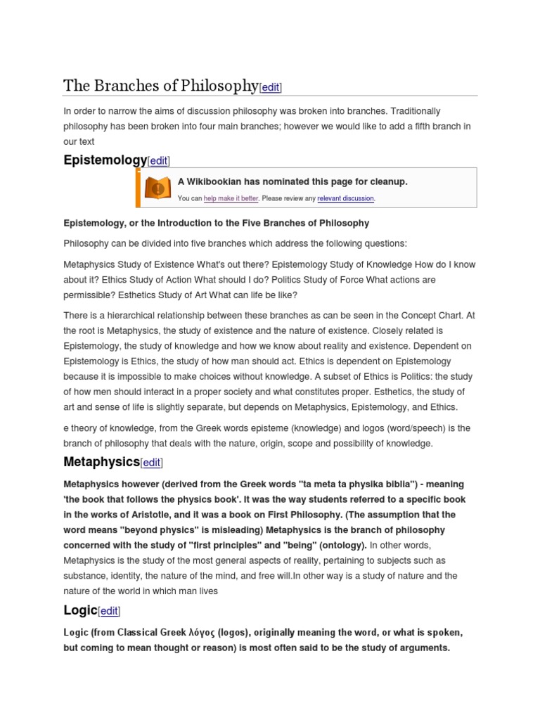 Overview of Philosophy's Branches | PDF | Rationalism | Epistemology