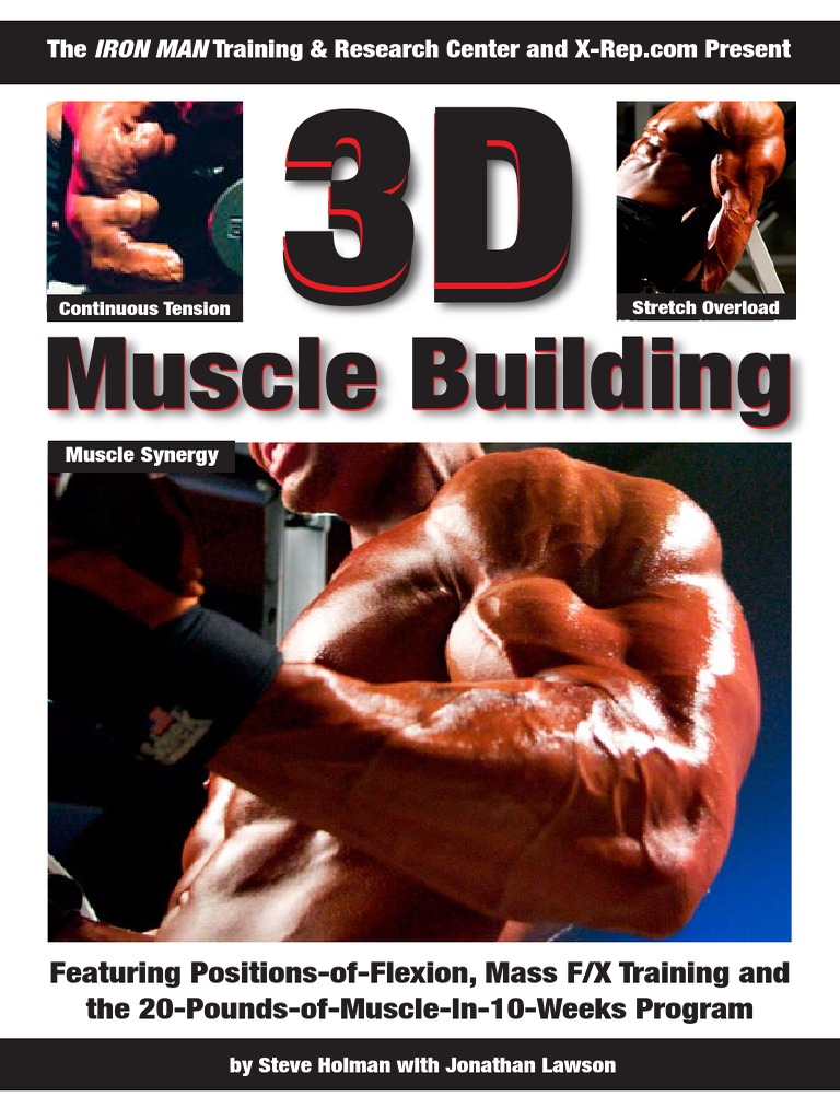 3DMuscleBuilding PDF | PDF | Muscle | Muscle Contraction