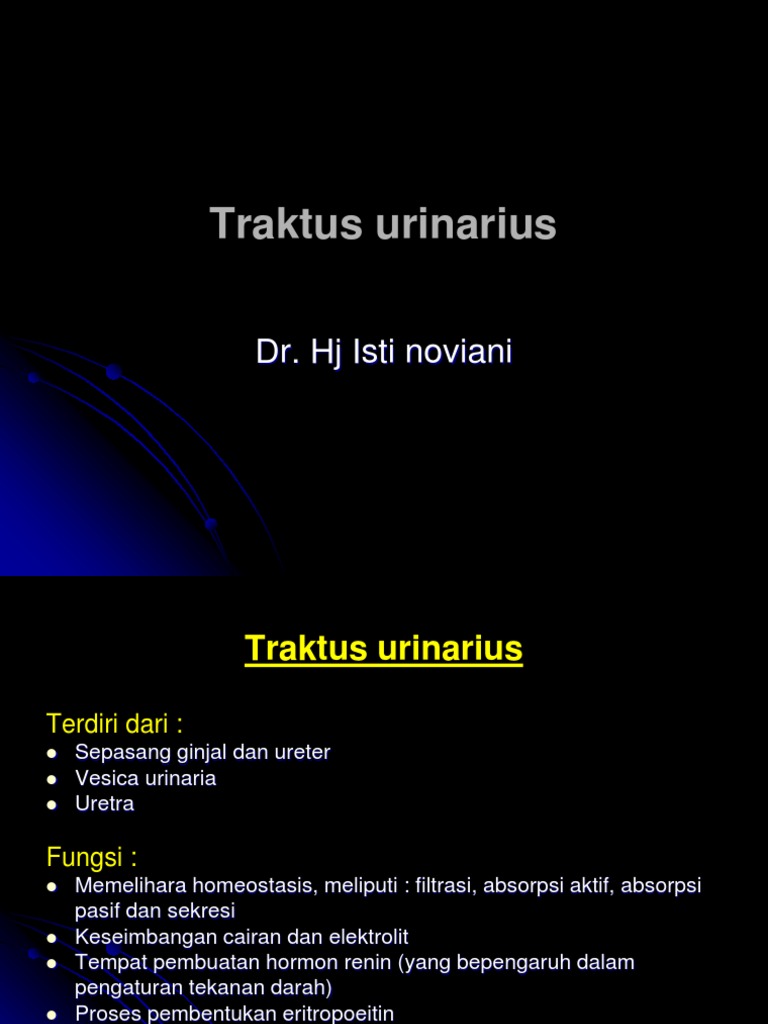 Struktur dan Fungsi Traktus Urinarius | PDF