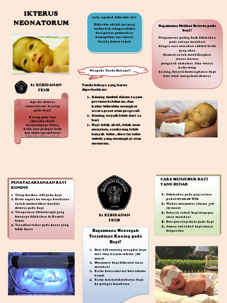 Leaflet Ikterus | PDF