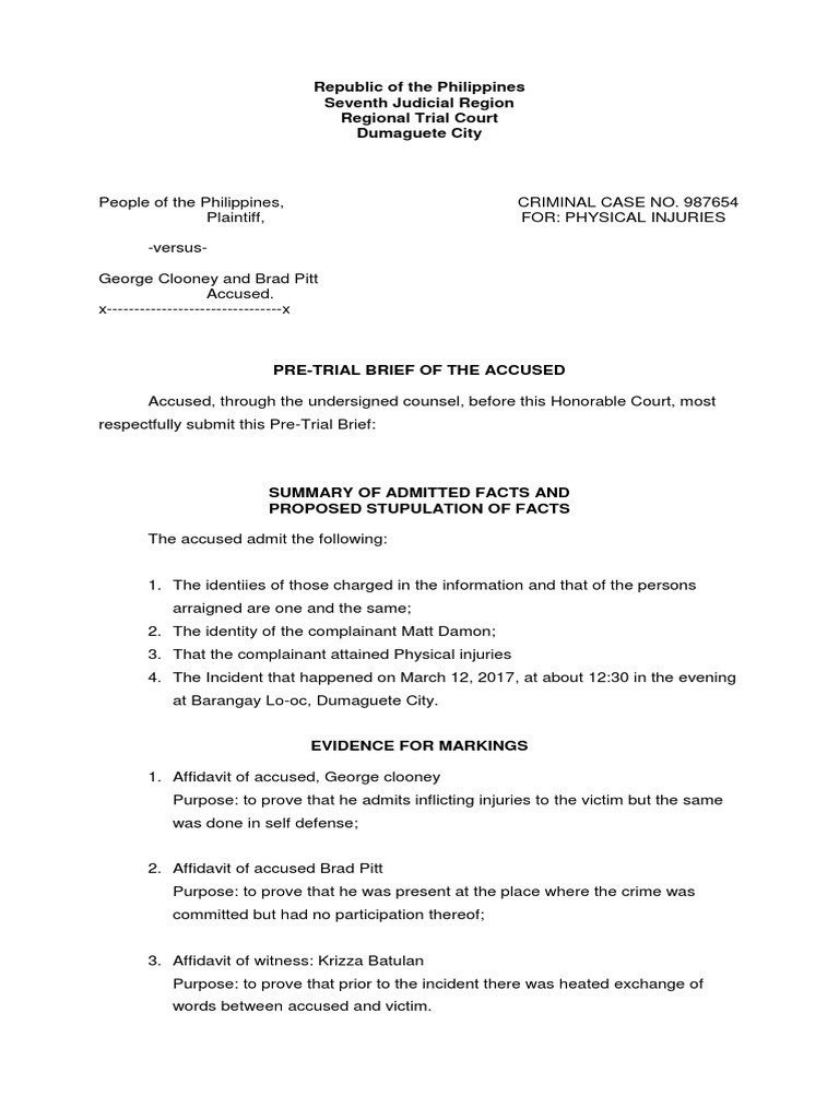 Pre Trial Brief | PDF | Witness | Criminal Justice