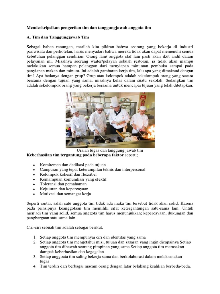Materi Tim Dan Tanggungjawab Anggota Tim | PDF