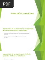 Fórmulas Vertebrales de Animales | PDF