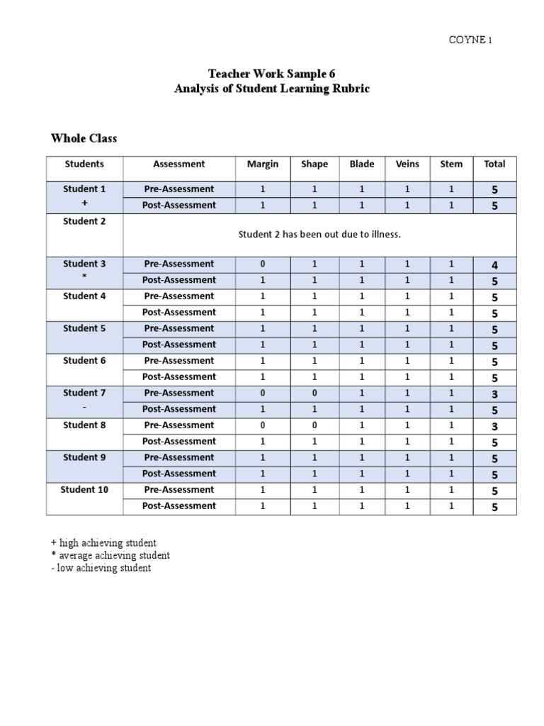 Teacher Work Sample 6 Analysis of Student Learning Rubric | PDF ...
