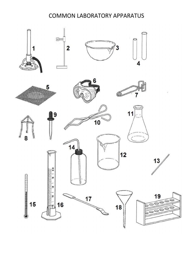 Common Laboratory Apparatus | PDF