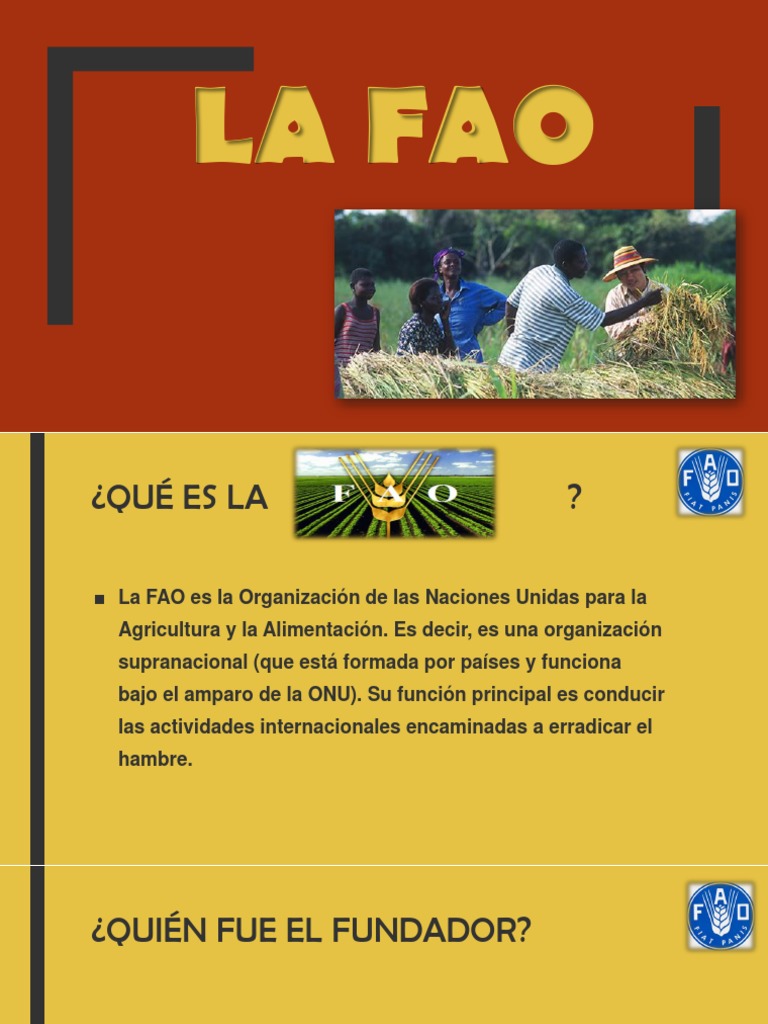 Qué es la FAO y su función principal | PDF | Organización de Comida y ...