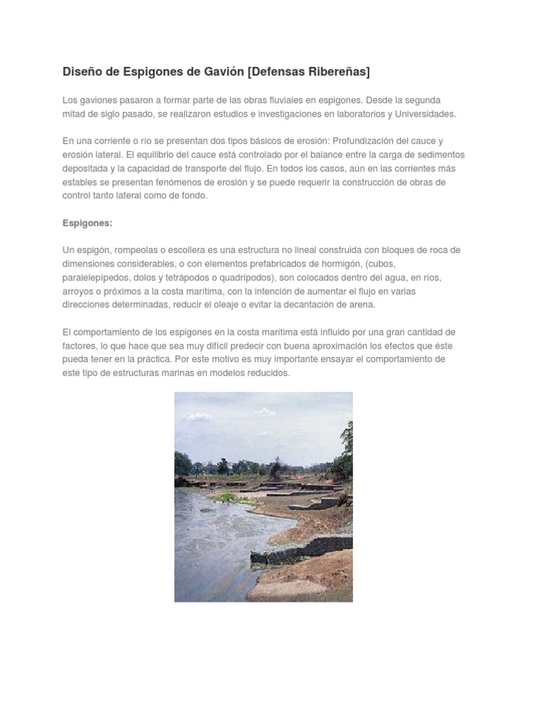 Diseño de Espigones de Gavión | PDF | Cuerpos de agua | Hidrología