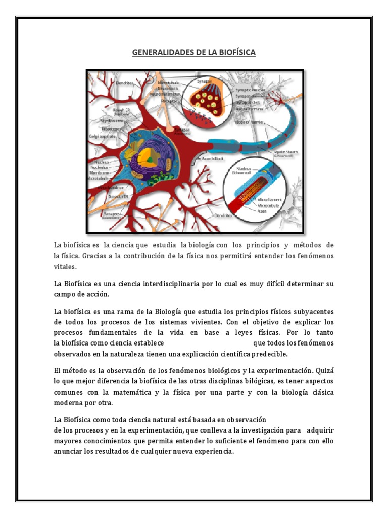 Generalidades de La Biofísica | Biofísica | Física y matemáticas