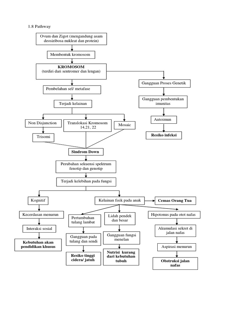 Pathway Sindrom Down | PDF