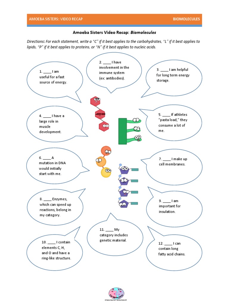 Amoeba Sisters Introduction To Cells Worksheet